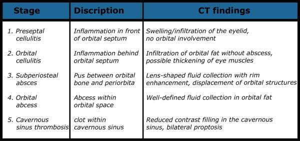 CT sinus