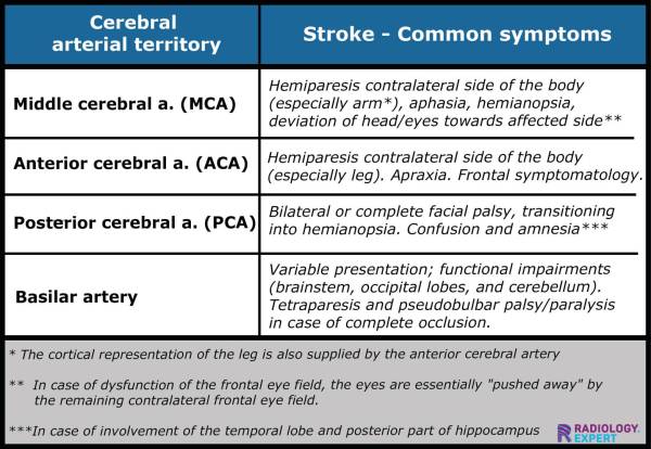 Interventional Radiology - The Stroke Patient