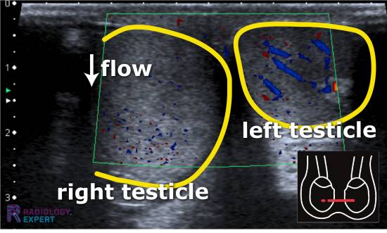Indication and Requests for Radiological Examination
