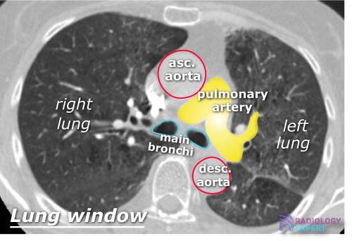 Indication and Requests for Radiological Examination