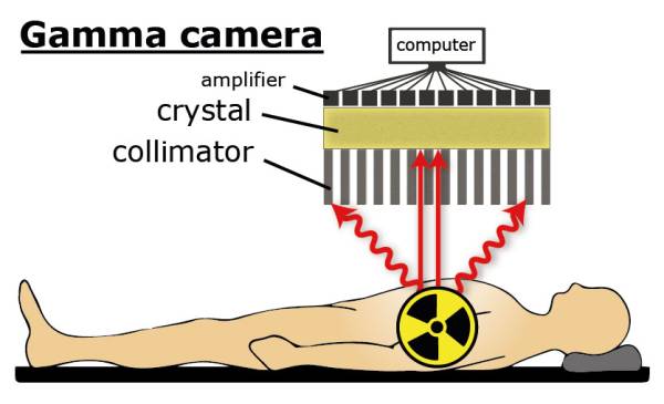 Nuclear Medicine
