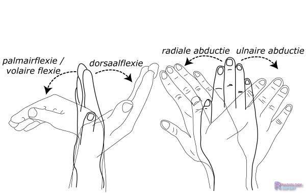 X-Hand